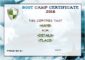 Boot Camp Certificate Template (10) - TEMPLATES EXAMPLE | TEMPLATES EXAMPLE