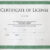 Certificate Of License Template (4) - TEMPLATES EXAMPLE | TEMPLATES EXAMPLE