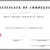 Class Completion Certificate Template (5) - TEMPLATES EXAMPLE ...