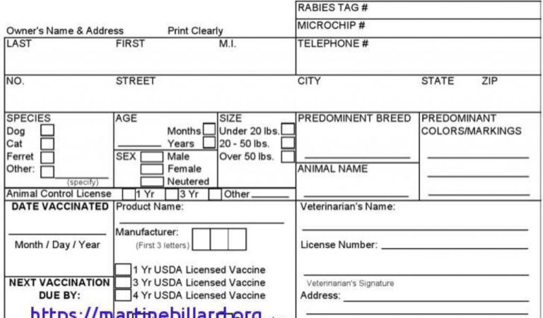 Rabies Vaccine Certificate Template (3) - TEMPLATES EXAMPLE | TEMPLATES ...