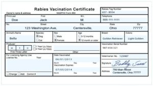 Rabies Vaccine Certificate Template - TEMPLATES EXAMPLE | TEMPLATES EXAMPLE
