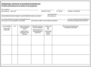 Rabies Vaccine Certificate Template (8) - TEMPLATES EXAMPLE | TEMPLATES ...