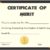 Safe Driving Certificate Template (10) - TEMPLATES EXAMPLE | TEMPLATES ...
