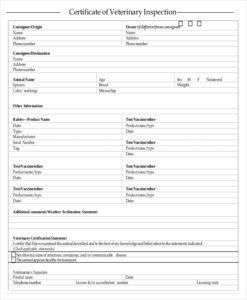 Certificate Of Inspection Template (7) - TEMPLATES EXAMPLE | TEMPLATES ...