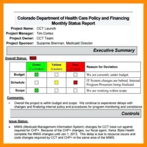 Executive Summary Project Status Report Template (2) - TEMPLATES ...
