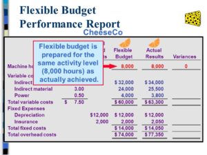 Flexible Budget Performance Report Template (4) - TEMPLATES EXAMPLE ...