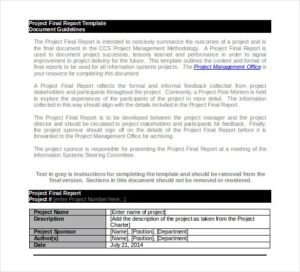 Project Management Final Report Template (2) - TEMPLATES EXAMPLE ...