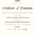 Promotion Certificate Template (1) - TEMPLATES EXAMPLE | TEMPLATES EXAMPLE