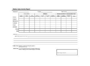 Sales Representative Report Template (7) - TEMPLATES EXAMPLE ...