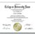 University Graduation Certificate Template (3) - TEMPLATES EXAMPLE ...
