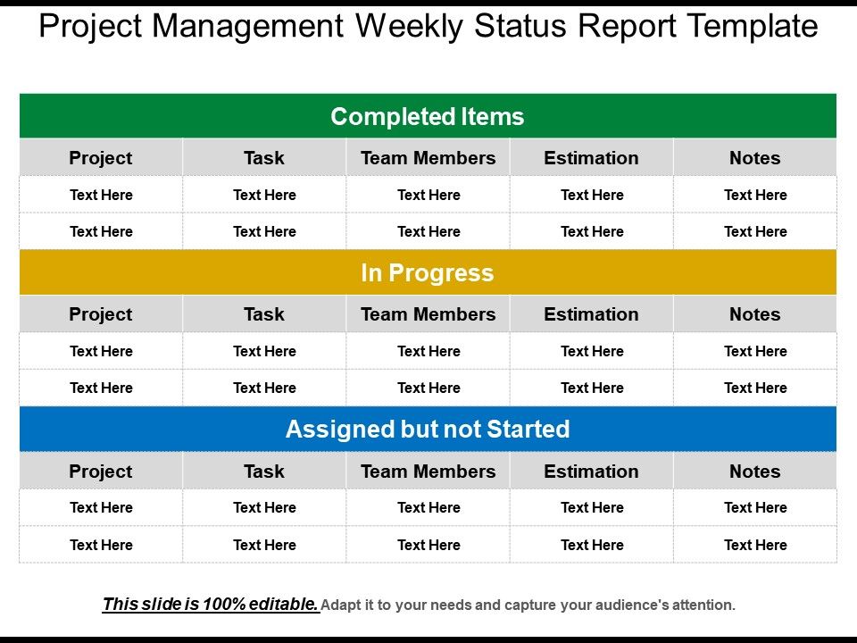 Weekly Progress Report Template Project Management TEMPLATES EXAMPLE
