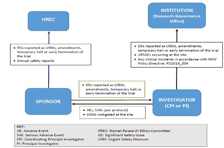 Dsmb Report Template (2) - TEMPLATES EXAMPLE | TEMPLATES EXAMPLE