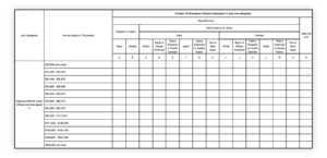 Eeo 1 Report Template (1) - TEMPLATES EXAMPLE | TEMPLATES EXAMPLE