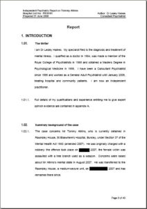 Expert Witness Report Template (8) - TEMPLATES EXAMPLE | TEMPLATES EXAMPLE