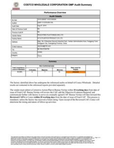 Gmp Audit Report Template (3) - TEMPLATES EXAMPLE | TEMPLATES EXAMPLE