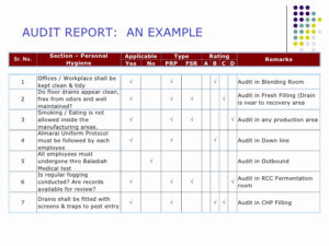 Gmp Audit Report Template (12) - TEMPLATES EXAMPLE | TEMPLATES EXAMPLE