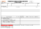 Information System Audit Report Template (2) - TEMPLATES EXAMPLE ...