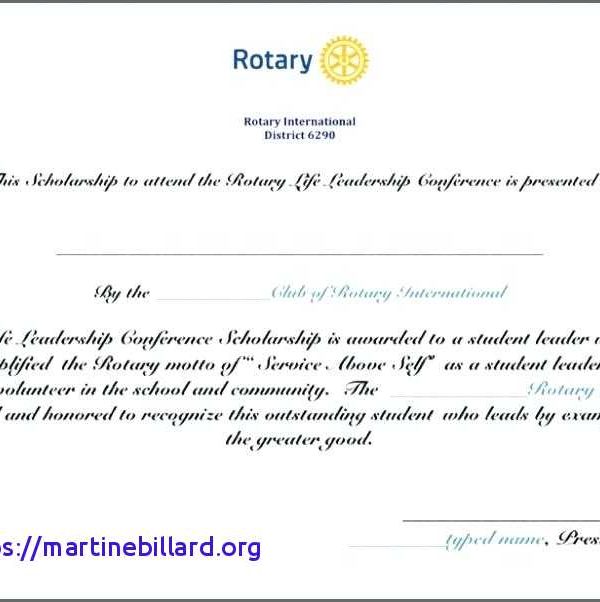 International Conference Certificate Templates (10) - TEMPLATES EXAMPLE ...