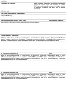 Liquidity Report Template (1) - TEMPLATES EXAMPLE | TEMPLATES EXAMPLE