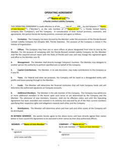 Llc Annual Report Template (1) - TEMPLATES EXAMPLE | TEMPLATES EXAMPLE