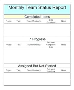 Monthly Program Report Template (2) - TEMPLATES EXAMPLE | TEMPLATES EXAMPLE