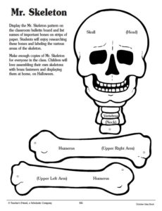 Skeleton Book Report Template (1) - TEMPLATES EXAMPLE | TEMPLATES EXAMPLE