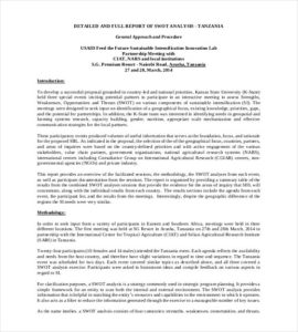 Strategic Analysis Report Template (2) - TEMPLATES EXAMPLE | TEMPLATES ...