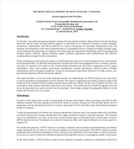 Strategic Analysis Report Template (4) - TEMPLATES EXAMPLE | TEMPLATES ...