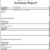 Template For Summary Report (1) - TEMPLATES EXAMPLE | TEMPLATES EXAMPLE
