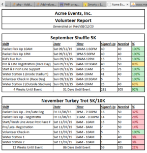 Volunteer Report Template (2) - TEMPLATES EXAMPLE | TEMPLATES EXAMPLE