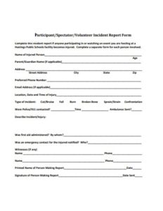 Volunteer Report Template (5) - TEMPLATES EXAMPLE | TEMPLATES EXAMPLE
