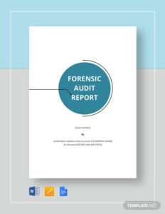 Forensic Accounting Report Template (2) - TEMPLATES EXAMPLE | TEMPLATES ...