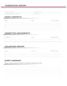 Fundraising Report Template (7) - TEMPLATES EXAMPLE | TEMPLATES EXAMPLE