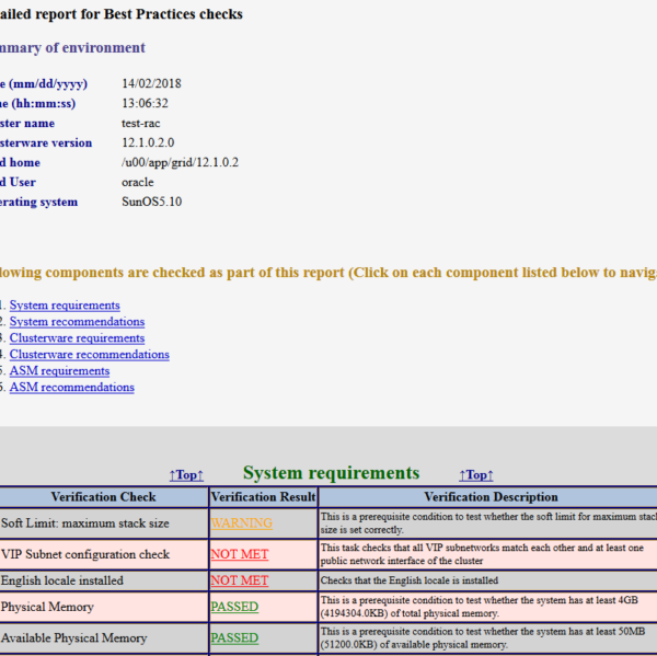 Health Check Report Template (1) - TEMPLATES EXAMPLE | TEMPLATES EXAMPLE