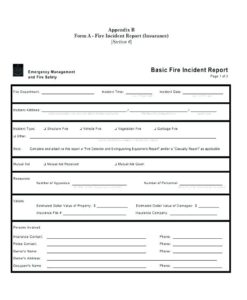 Insurance Incident Report Template (2) - TEMPLATES EXAMPLE | TEMPLATES ...