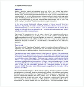 Ir Report Template (7) - TEMPLATES EXAMPLE | TEMPLATES EXAMPLE