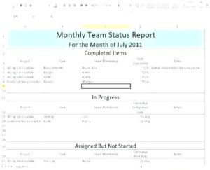 Monthly Progress Report Template (3) - TEMPLATES EXAMPLE | TEMPLATES ...