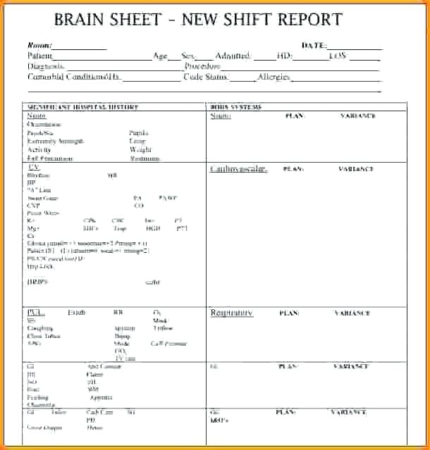 Nursing Assistant Report Sheet Templates TEMPLATES EXAMPLE 