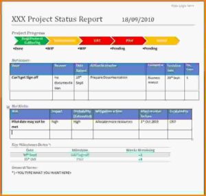 One Page Project Status Report Template (5) - TEMPLATES EXAMPLE ...