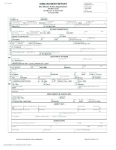 Police Incident Report Template (1) - TEMPLATES EXAMPLE | TEMPLATES EXAMPLE