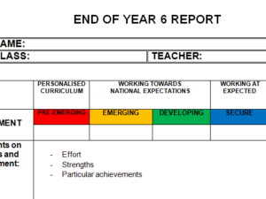 Pupil Report Template (1) - TEMPLATES EXAMPLE | TEMPLATES EXAMPLE