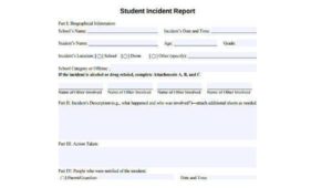 School Incident Report Template (8) - TEMPLATES EXAMPLE | TEMPLATES EXAMPLE