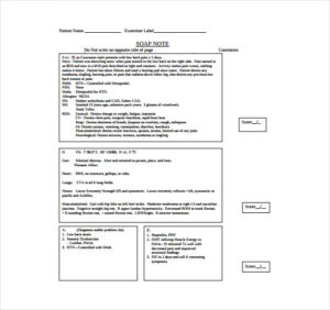 Soap Report Template (1) - TEMPLATES EXAMPLE | TEMPLATES EXAMPLE