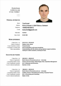 Cv Templates Germany (3) - TEMPLATES EXAMPLE | TEMPLATES EXAMPLE