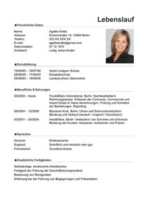 Cv Templates Germany (6) - TEMPLATES EXAMPLE | TEMPLATES EXAMPLE