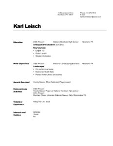 Resume Templates Copy And Paste (4) - TEMPLATES EXAMPLE | TEMPLATES EXAMPLE