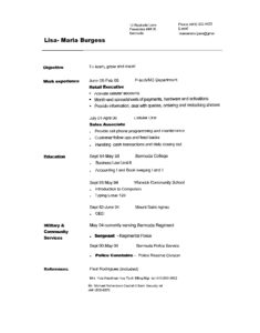 Resume Templates Copy And Paste (8) - TEMPLATES EXAMPLE | TEMPLATES EXAMPLE