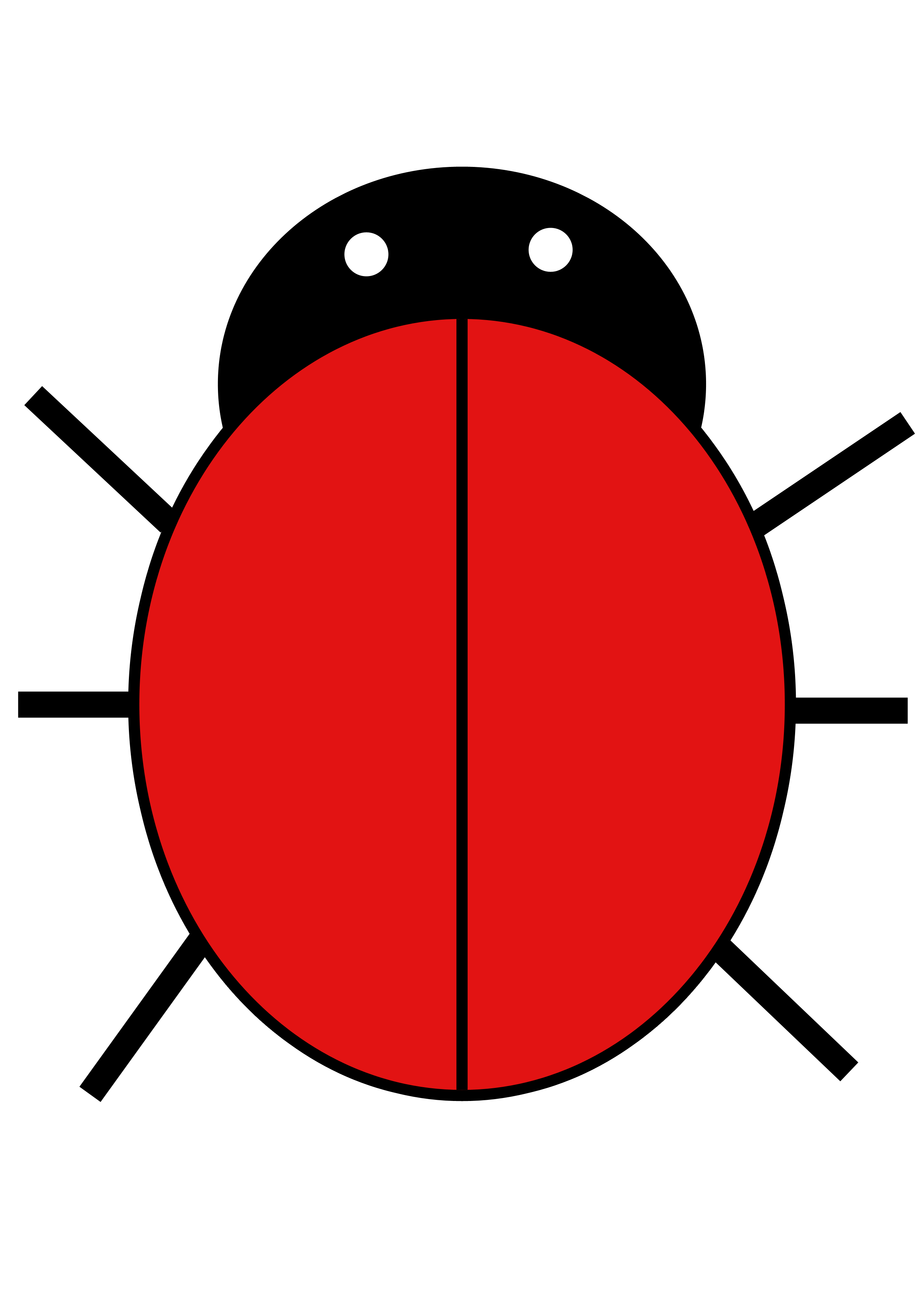 Blank Ladybug Template TEMPLATES EXAMPLE TEMPLATES EXAMPLE