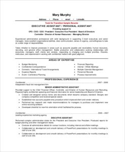 C Level Resume Samples (2) - TEMPLATES EXAMPLE | TEMPLATES EXAMPLE