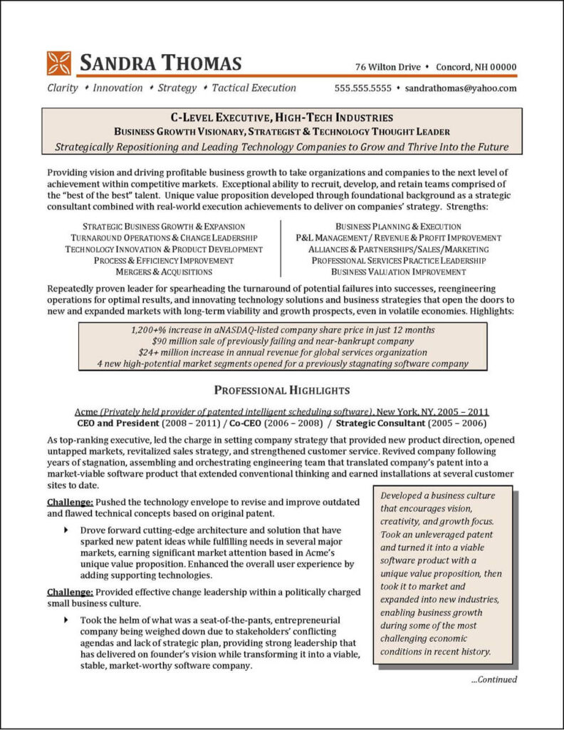C Level Resume Samples (3) - TEMPLATES EXAMPLE | TEMPLATES EXAMPLE